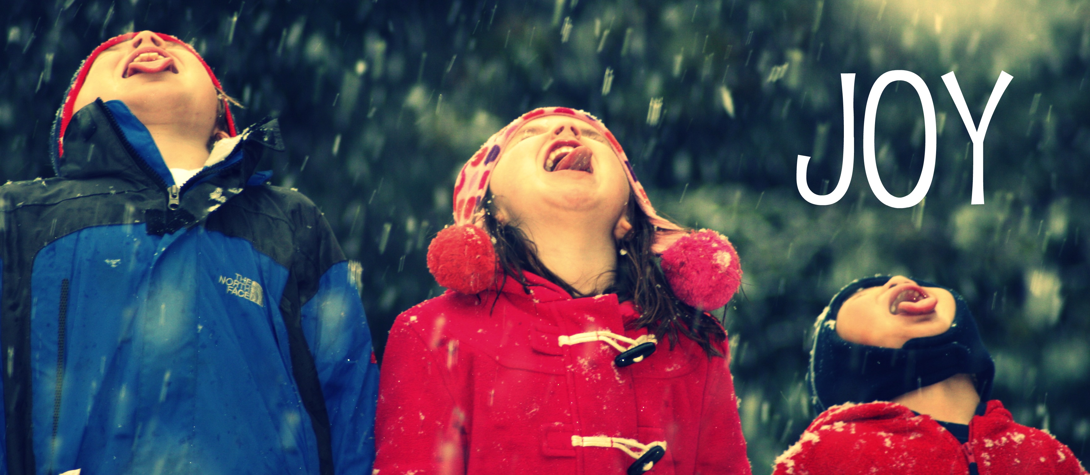 JOY Is the Fruit of the Spirit – Think Like Jesus